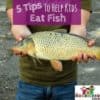 The Best Fish for Kids to Eat (+ How to Get Them To Eat It)