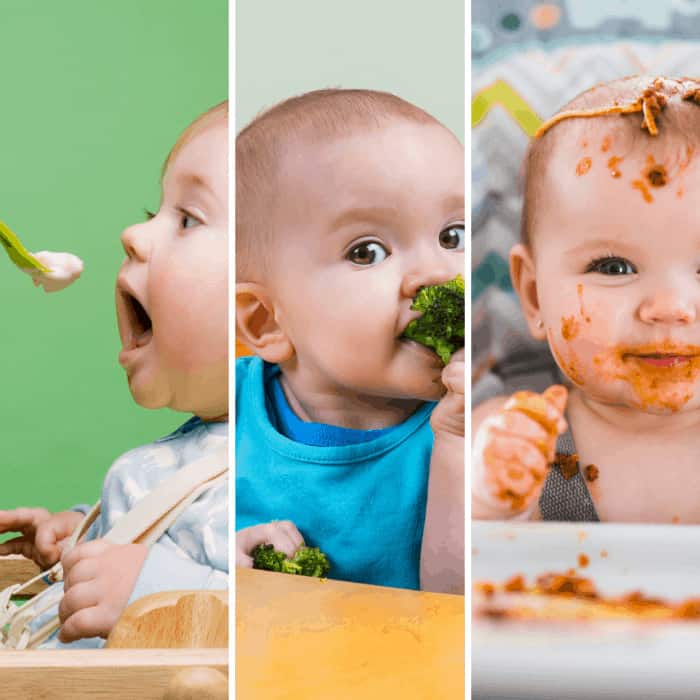 First Foods for Baby: 5 Things Parents Should Know | The Nourished Child