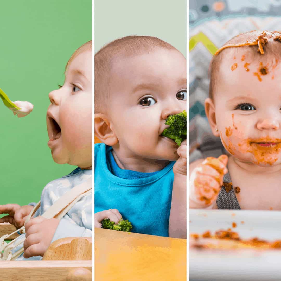 First Foods for Baby: 5 Things Parents Should Know | The Nourished Child