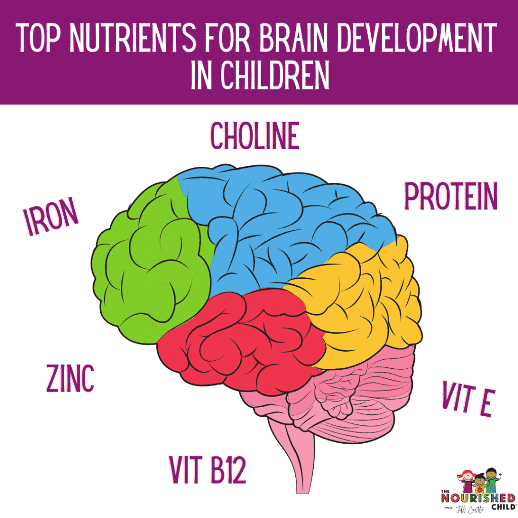 Toddler Snacks 9 Ideas For Brain Development The Nourished Child