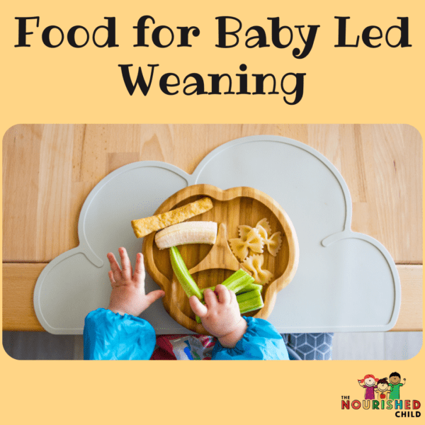 Food for Baby Led Weaning: What to Feed and Tips for Success