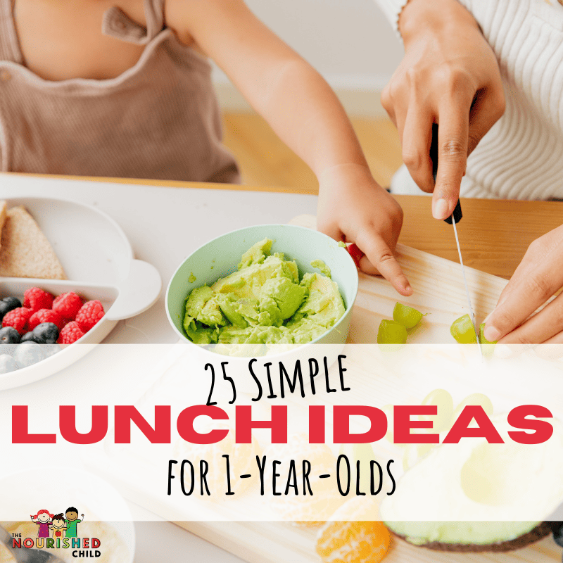 25 Simple Lunch Ideas For 1 Year Olds