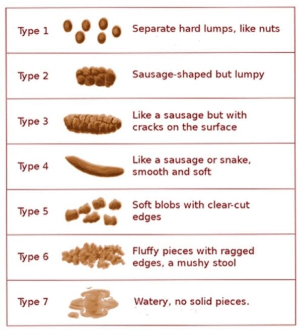 Constipation in Children: The Best Food to Help Kids Poop