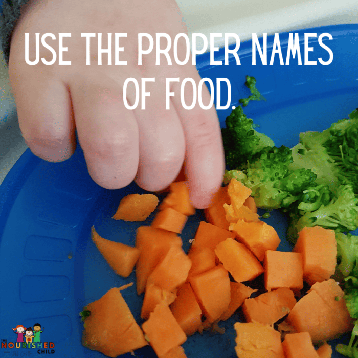 How to Talk About Food with Toddlers (Age-Appropriate Tips!)