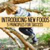 6 Principles for Introducing New Foods to All Children