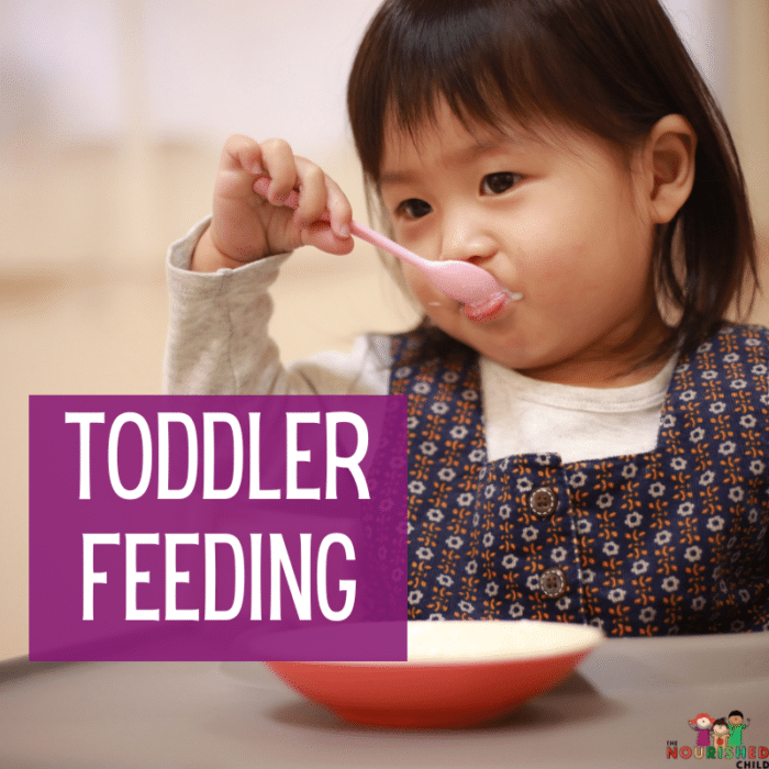 Toddler Feeding: What’s Normal, How Much Food & How to Help